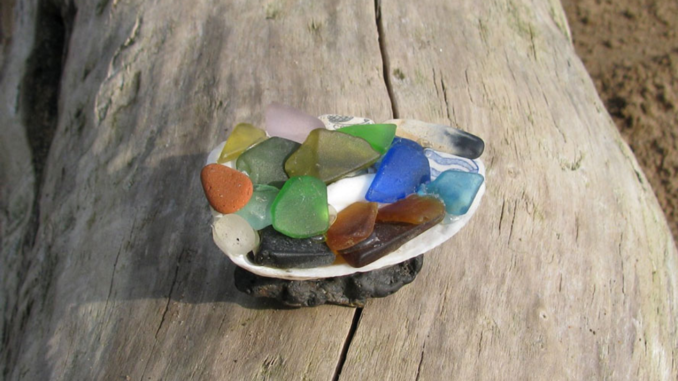 Sea Glass hunt to Explore Hidden Treasures on the Hudson River Shore ...