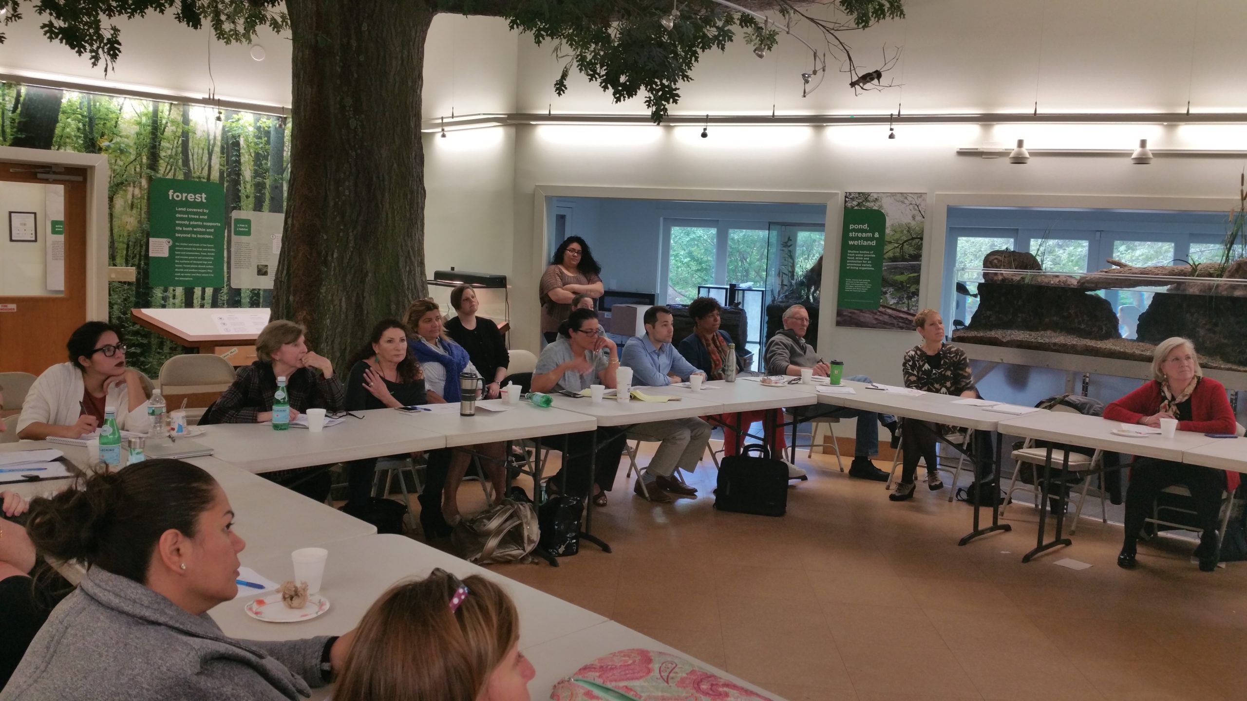 Professional Development Workshop Series to be Presented by The Chest ...