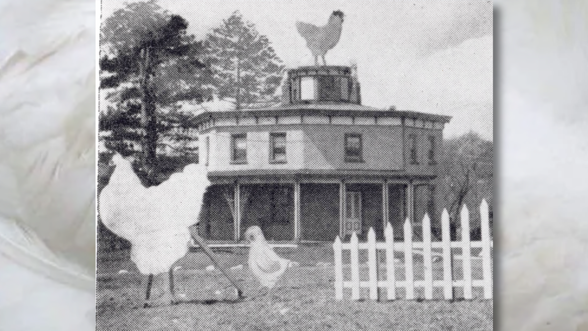 A 75¢ chicken dinner in Montvale — Pascack Press & Northern Valley Press